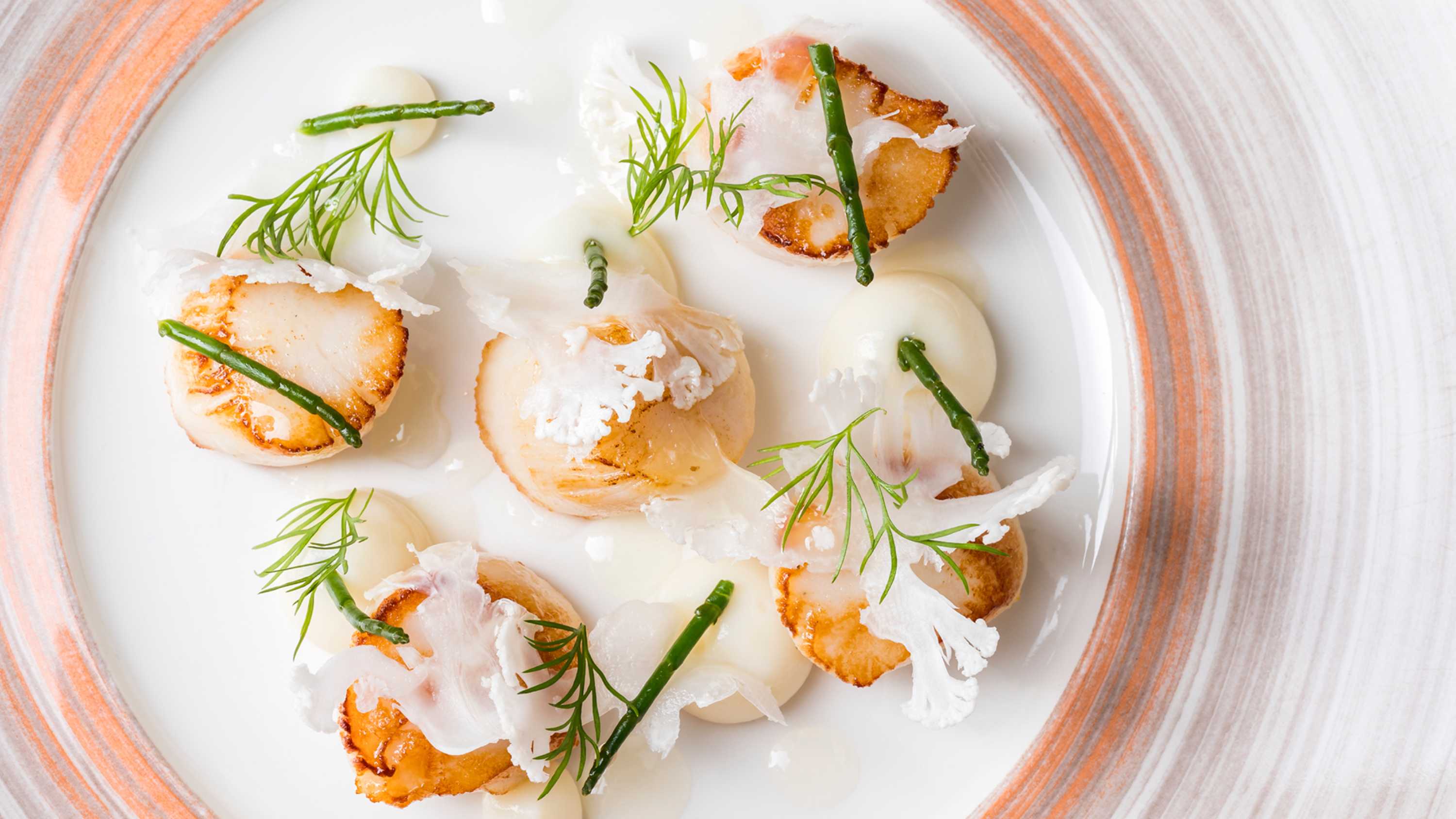 Menus | Dining at Saunton | Saunton Sands Hotel | North Devon